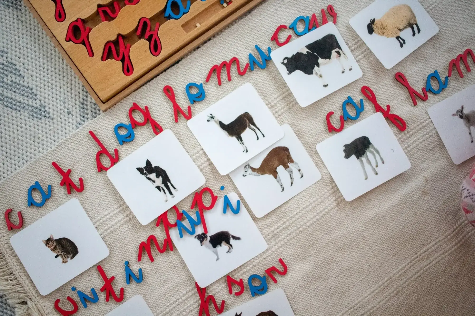 Resources | Montessori Preschool & Toddler Daycare Ithaca, NY - Namaste ...
